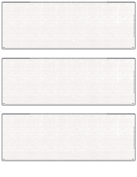 Grey Safety Blank 3 Per Page Laser Checks